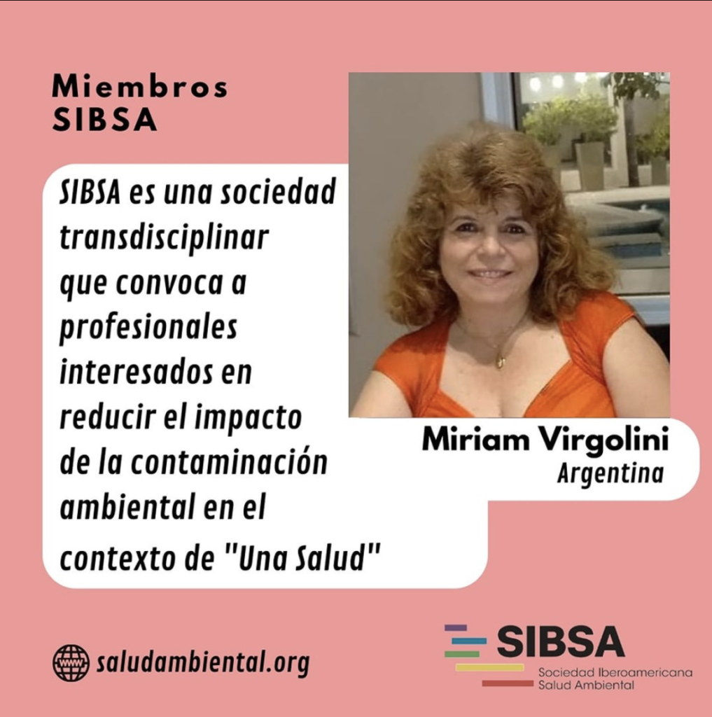 Nuestros socios – SIBSA